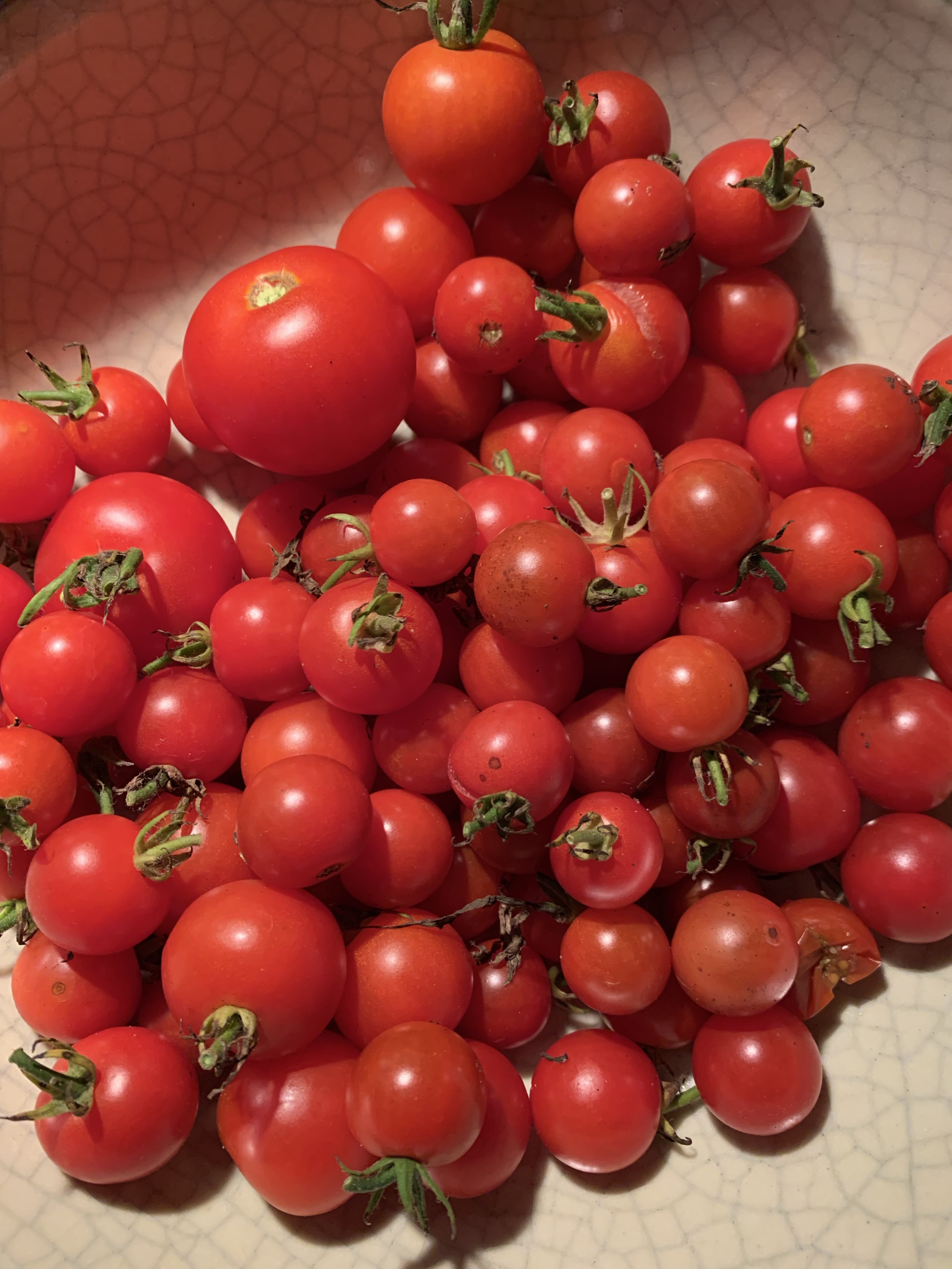 Recipes – Happy Vegan Campers